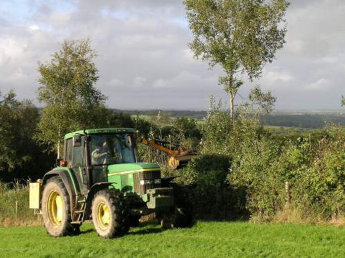 Hedge-cutting scheme launched in Clare - The Clare Champion