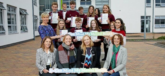 Tulla students ‘Highly Commended’ for mental health project - The Clare ...