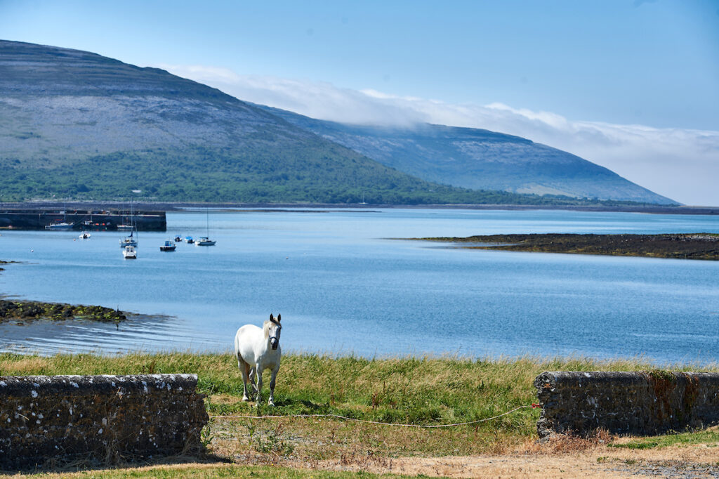 North Clare walking club seek planning permission for clubhouse - The ...