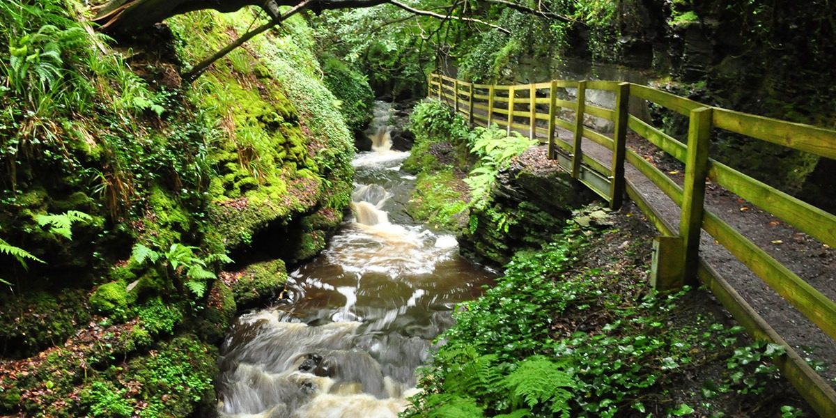 Locals channel anger in effort to restore polluted river - The Clare ...
