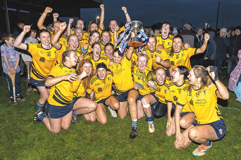 Truagh/Clonlara celebrate in their field of dreams - The Clare Champion