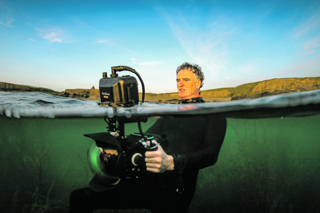 Ken’s deep dive into the world of Clare’s mysterious dolphins - The ...