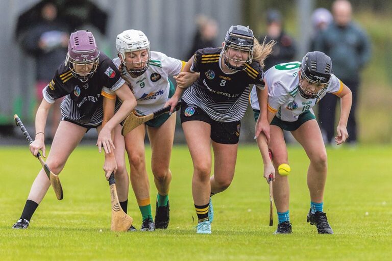 Senior contenders at the ready - The Clare Champion